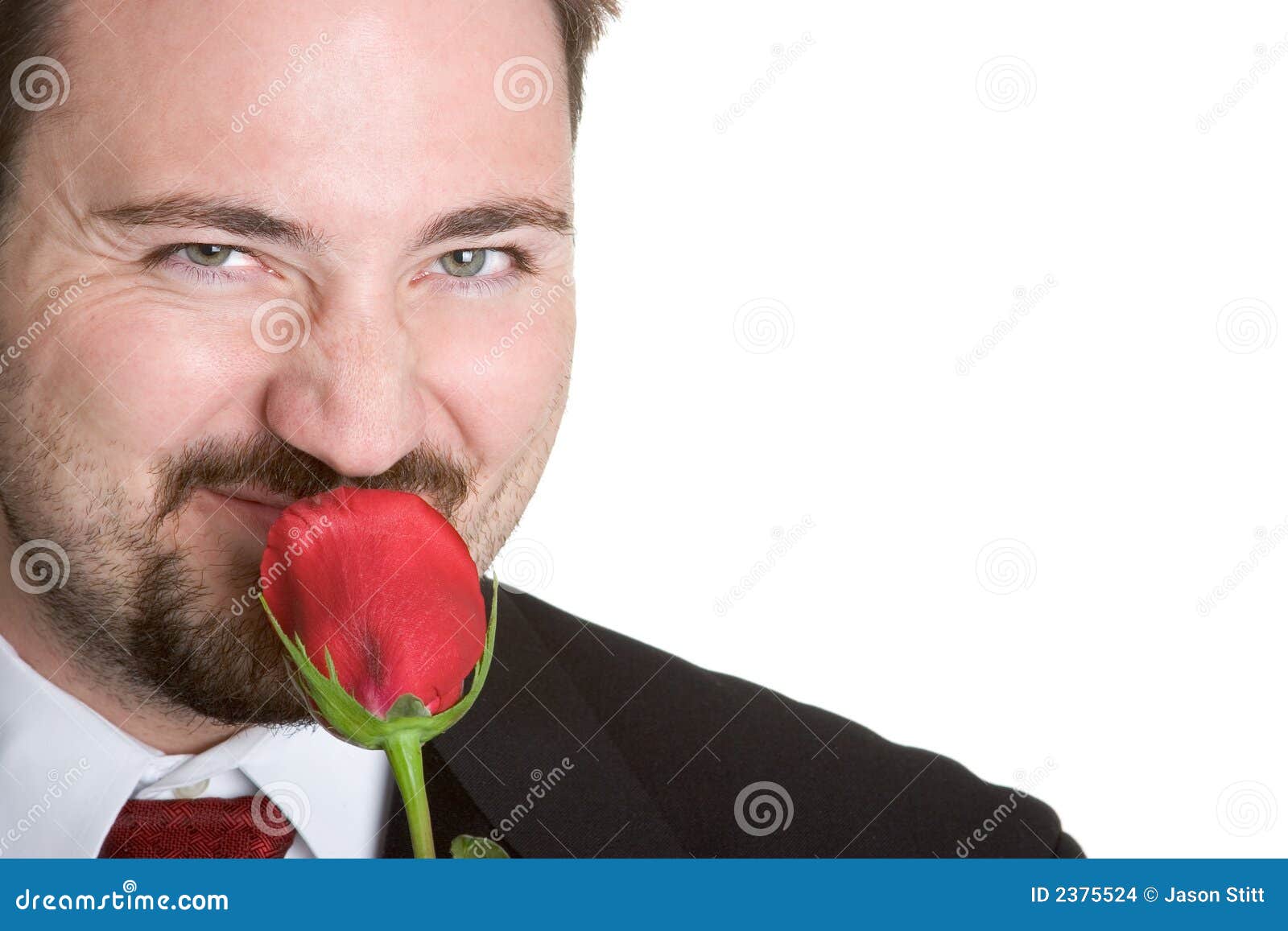 Rose Man stock photo. Image of handsome, isolated, rose - 2375524