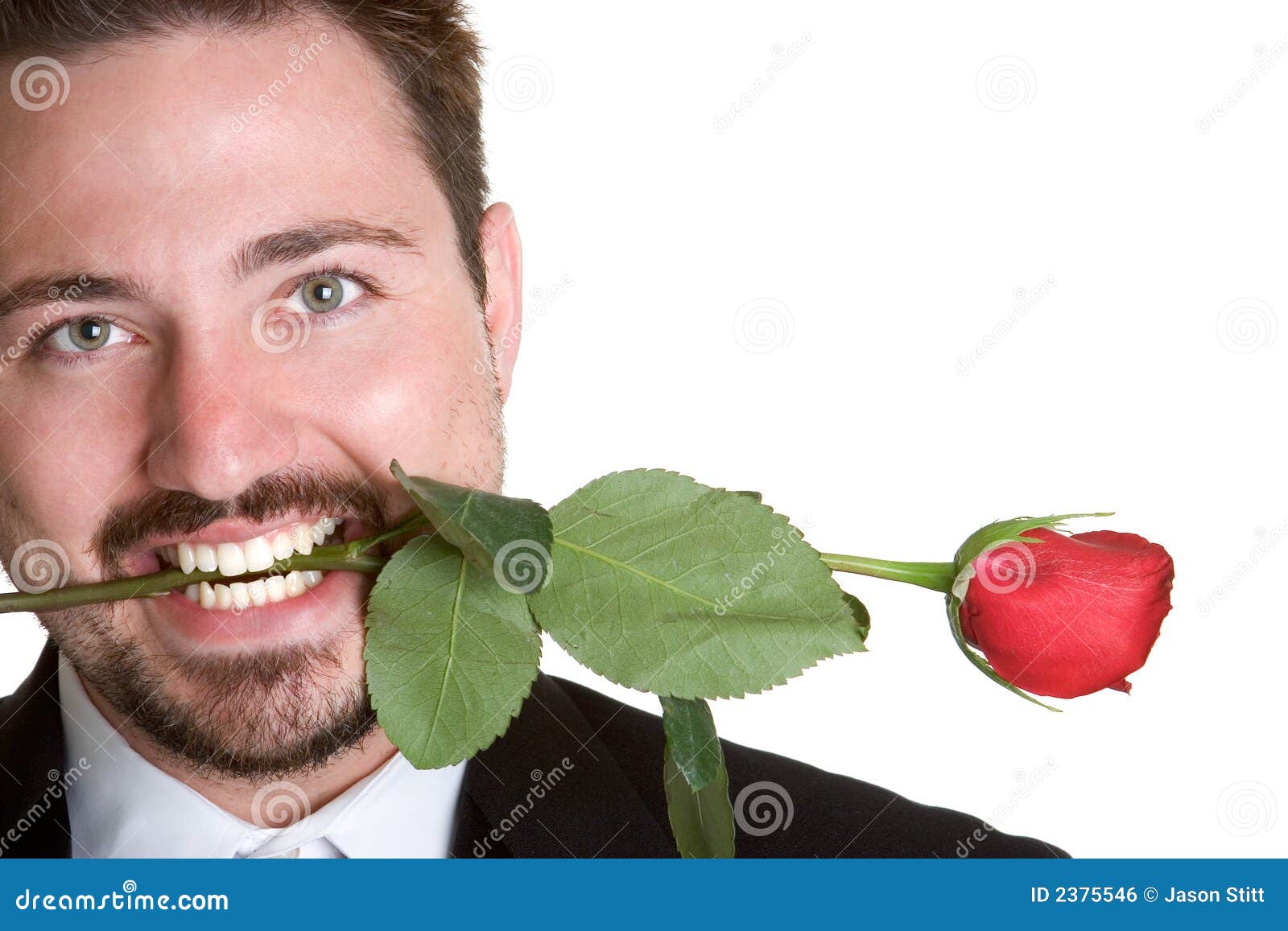 Rose Man stock photo. Image of space, mouth, love, adult - 2375546