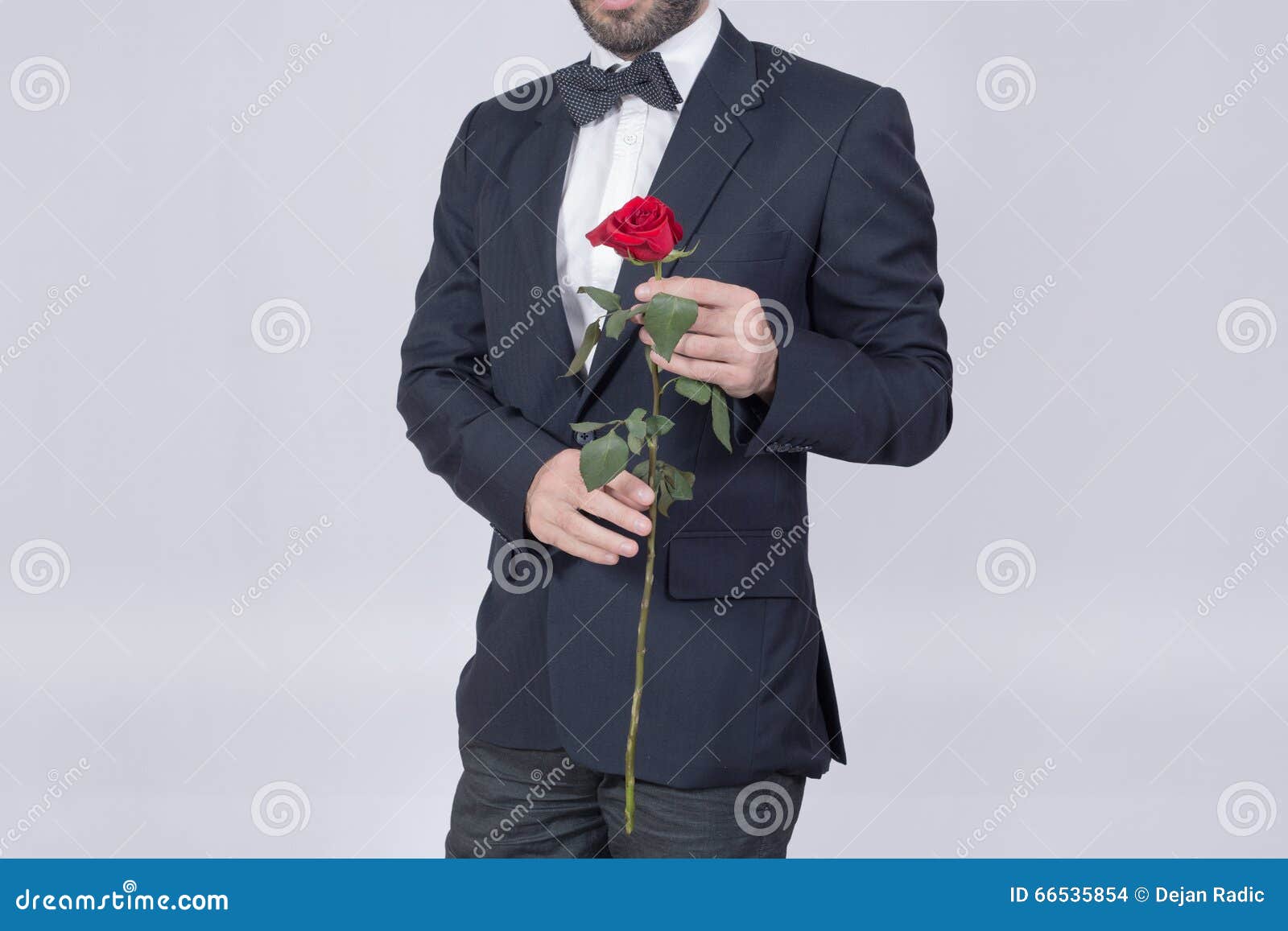 Rose man stock photo. Image of back, male, person, mouth - 66535854