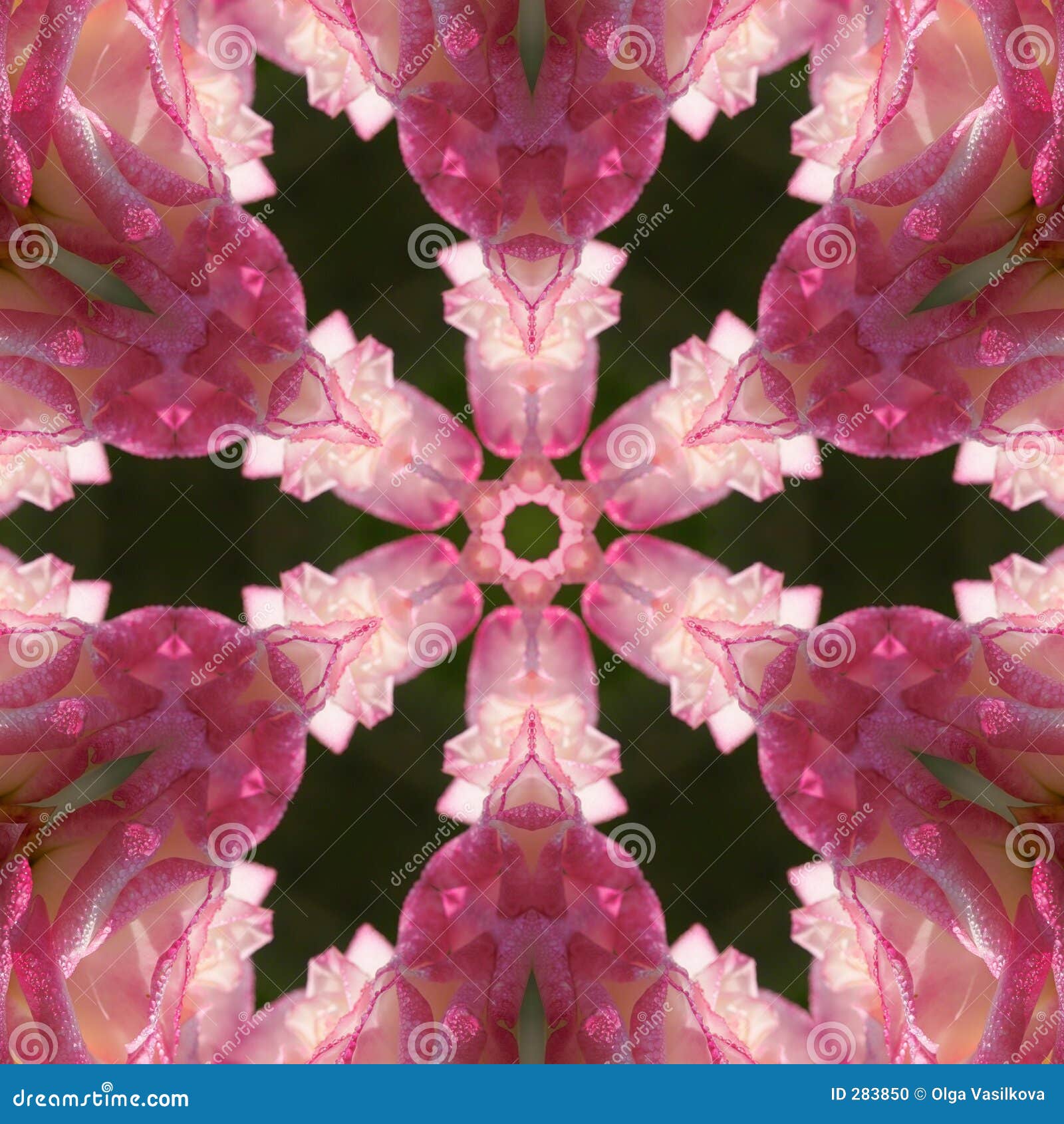 Rose mandala stock illustration. Illustration of buddihsm - 283850