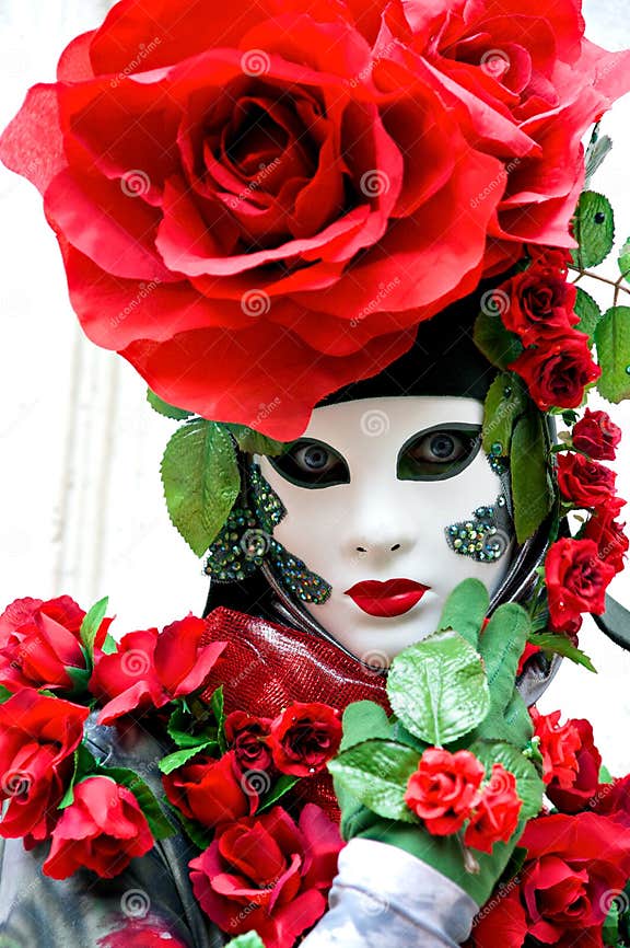 Rose Mask, Carnival. stock photo. Image of leaf, face - 7641802