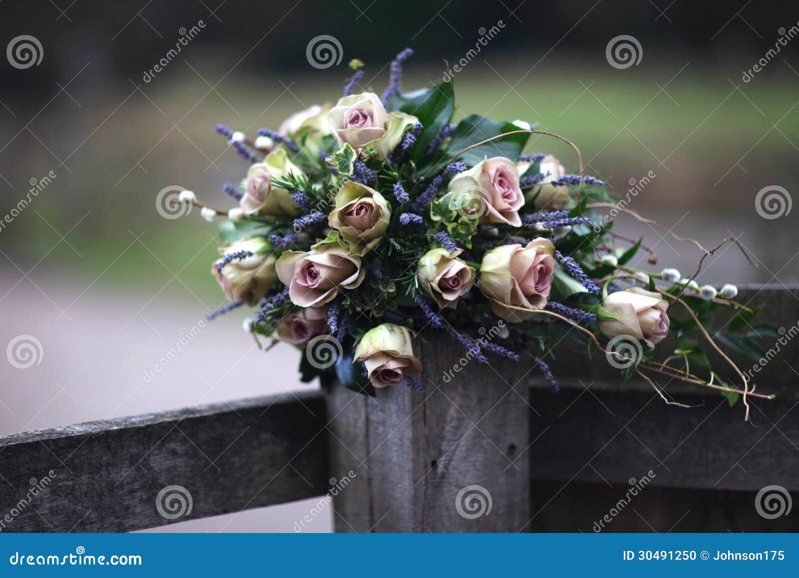 Rose & Mazzo Rosa Della Lavanda Fotografia Stock - Immagine di petalo ...