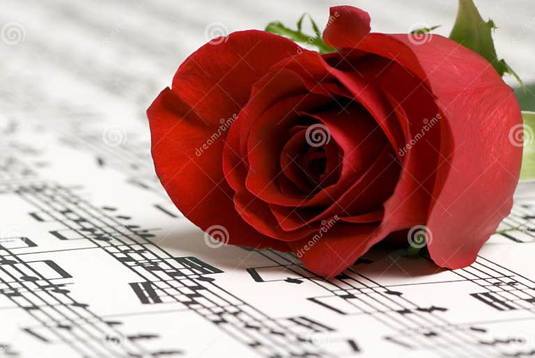 Rose Music 2 stock photo. Image of sheet, musical, score - 1690444