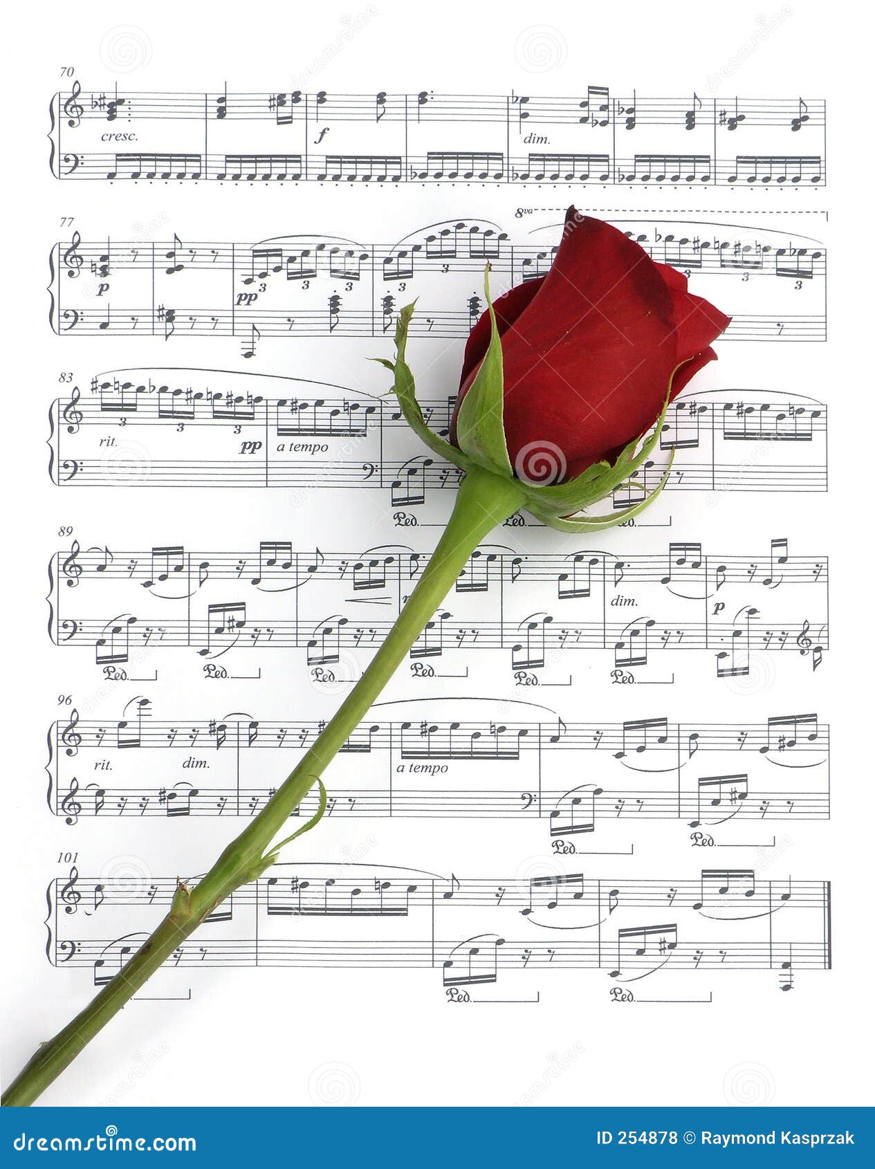 Rose and Music stock photo. Image of flower, clef, romance - 254878