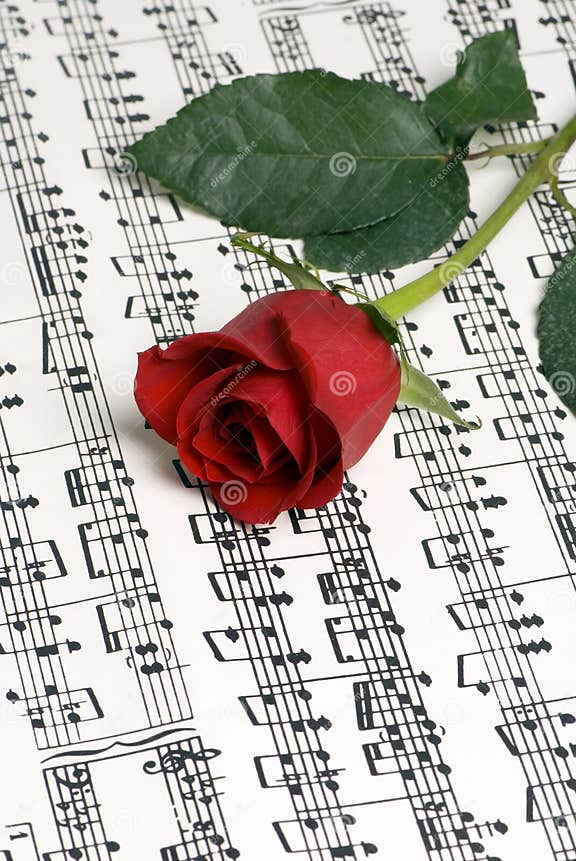 Rose Music 3 stock image. Image of element, song, staff - 1690445