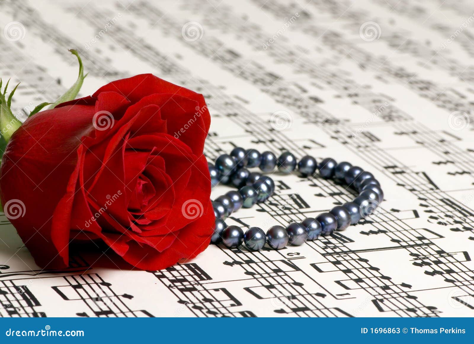 Rose Music 4 stock image. Image of beauty, mask, necklace - 1696863