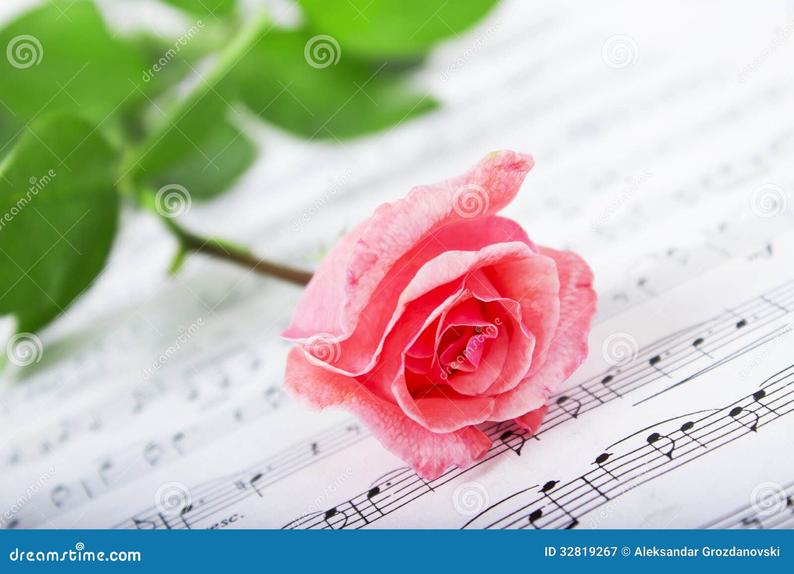 Rose and Music stock image. Image of staff, transcript - 32819267