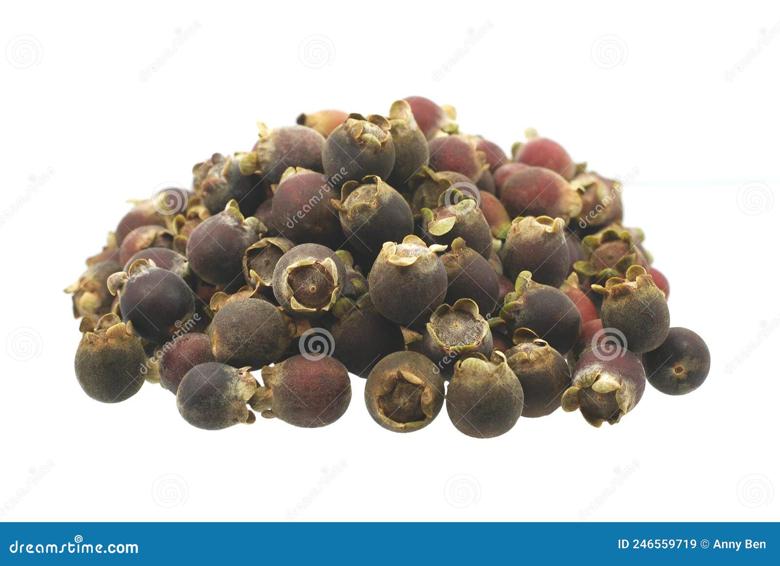 Rose Myrtle or Hill Gooseberry Isolated on White Background Stock Image ...
