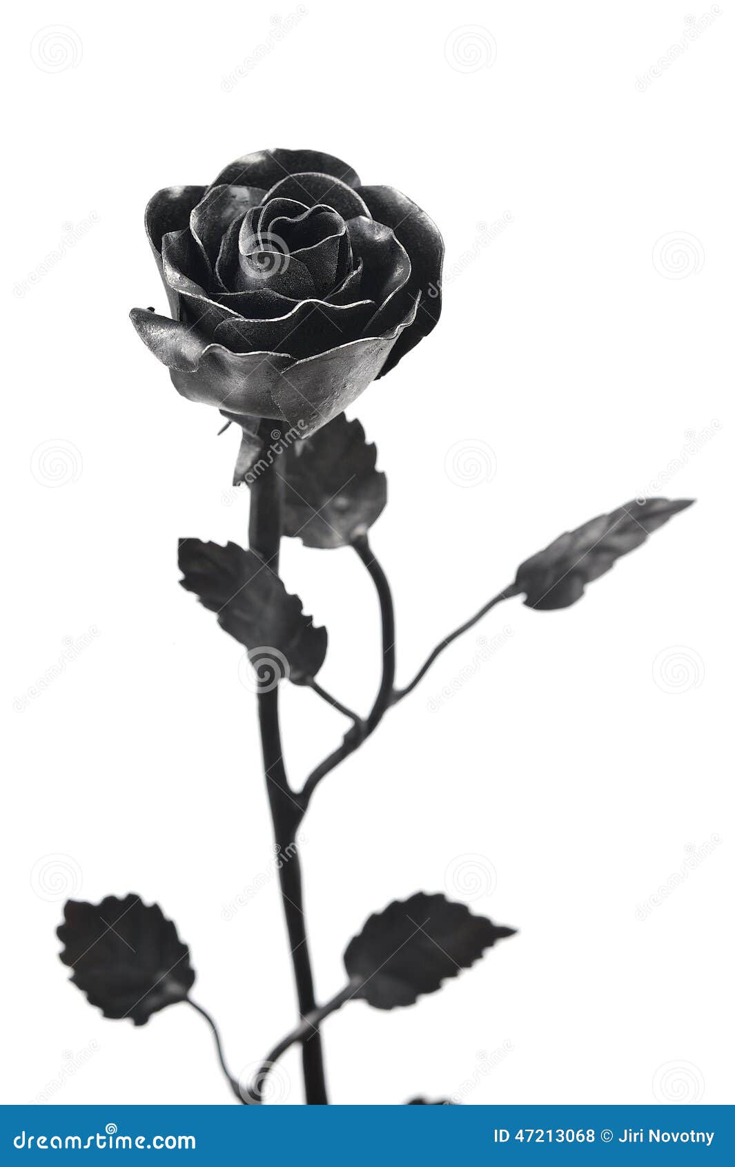 Rose Nere Del Ferro Battuto Fotografia Stock - Immagine di prodotto ...