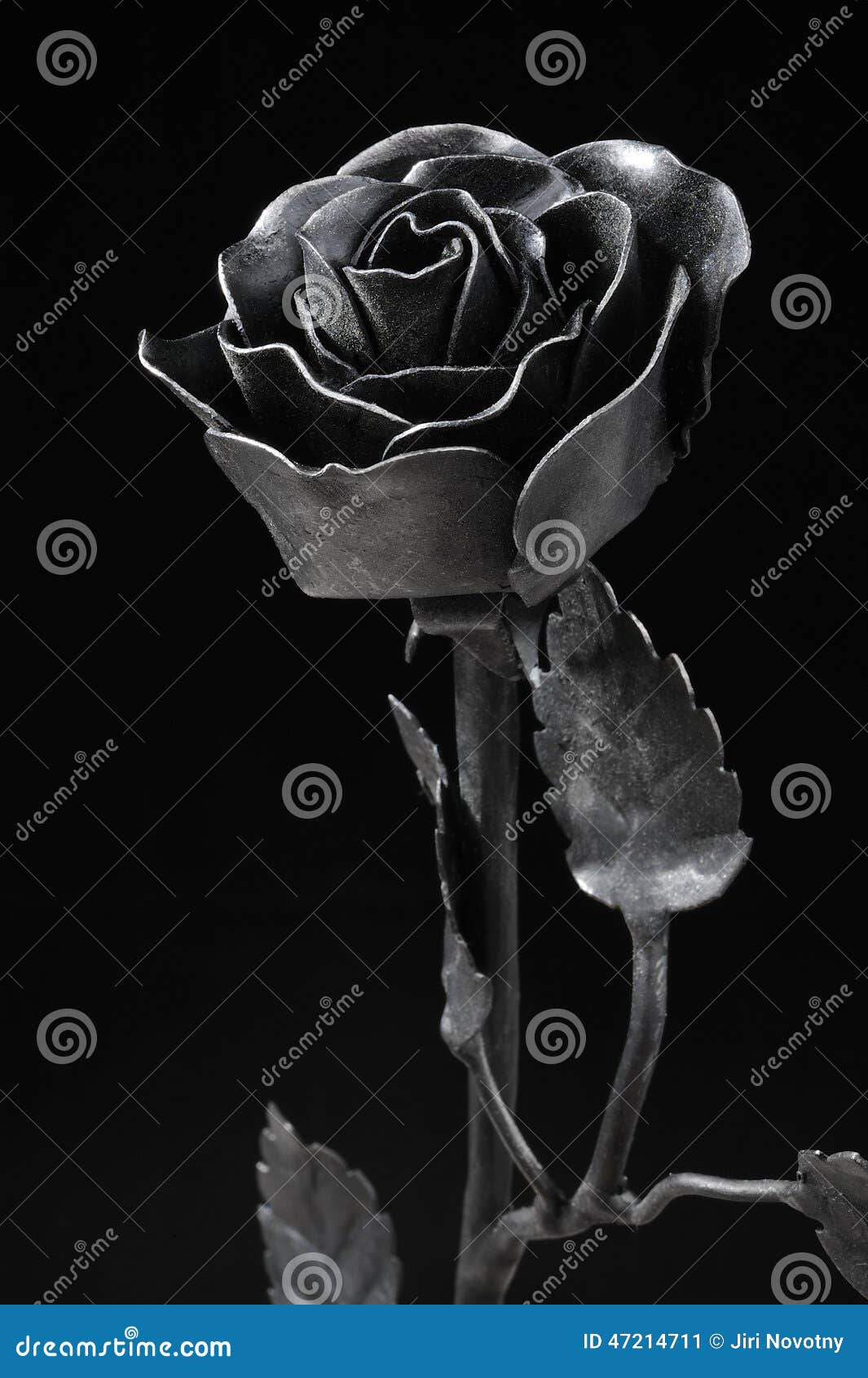 Rose Nere Del Ferro Battuto Immagine Stock - Immagine di floreale ...