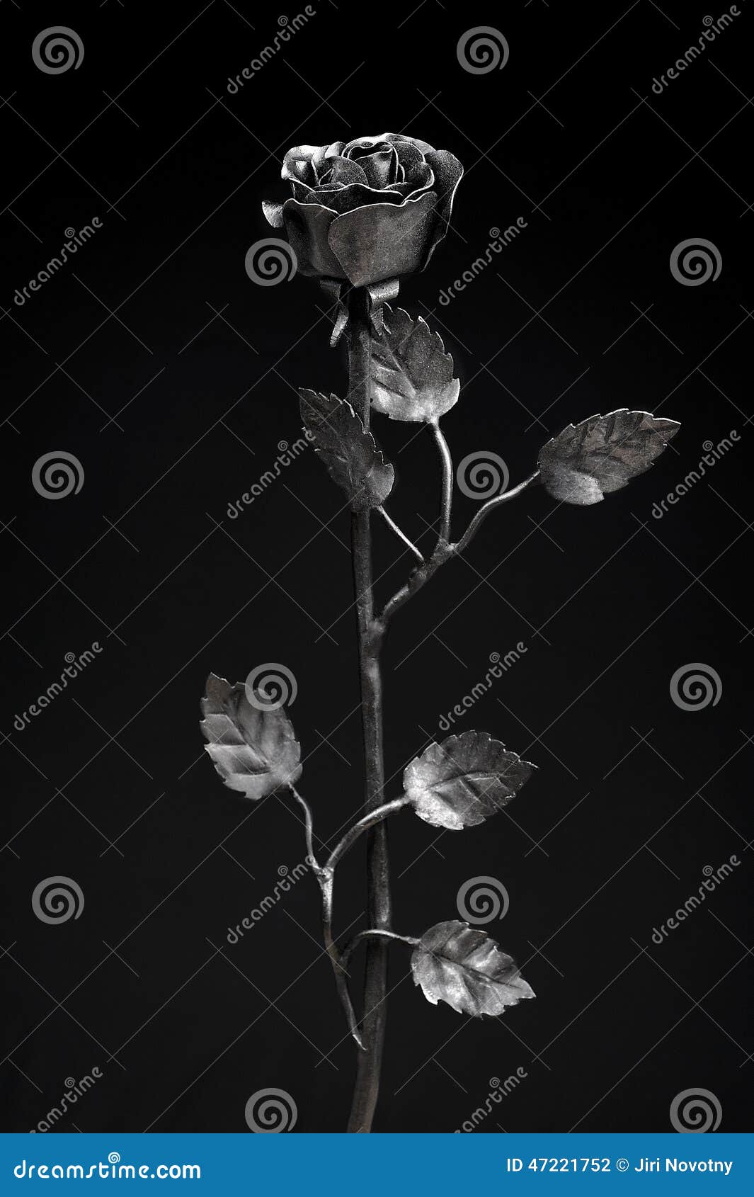 Rose Nere Del Ferro Battuto Fotografia Stock - Immagine di modellato ...
