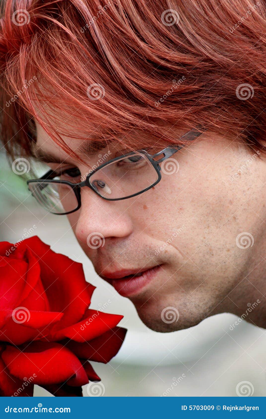 A rose and a nose stock image. Image of wonder, young - 5703009