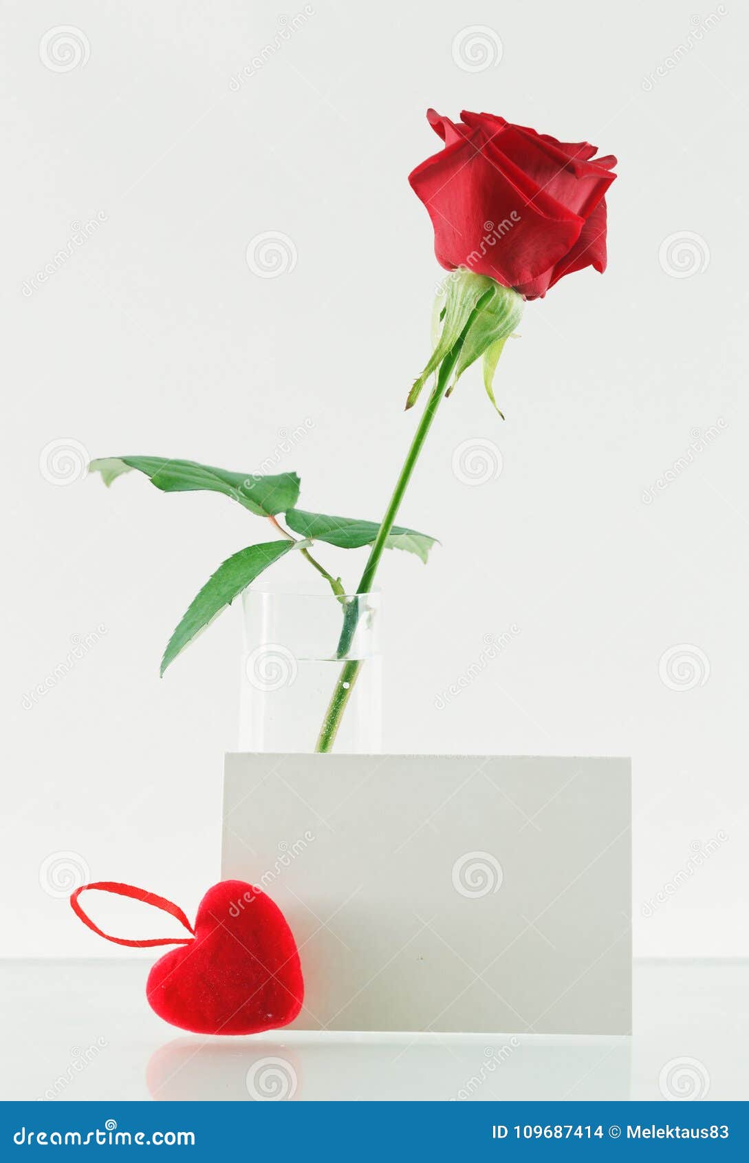 Rose and a note stock photo. Image of rose, nature, table - 109687414