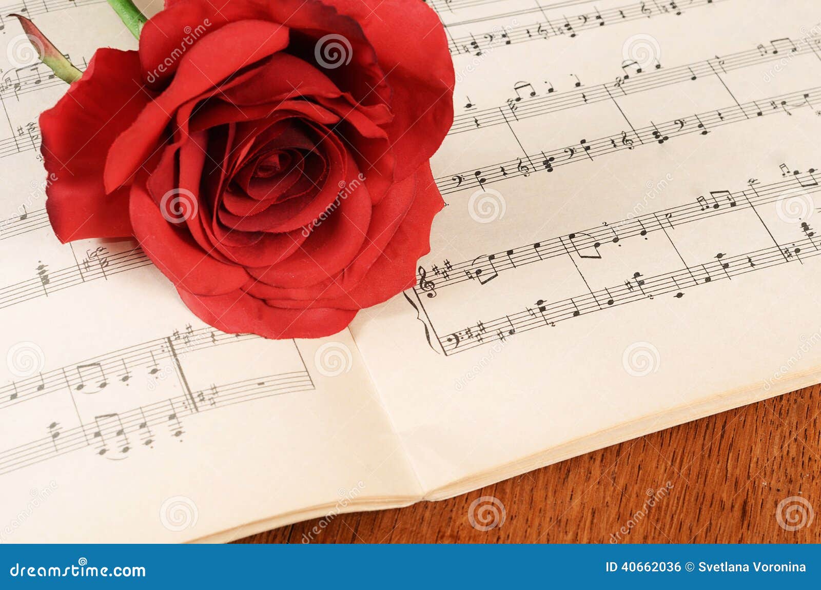 The Rose on Notebooks with Notes Stock Photo - Image of piano, color ...