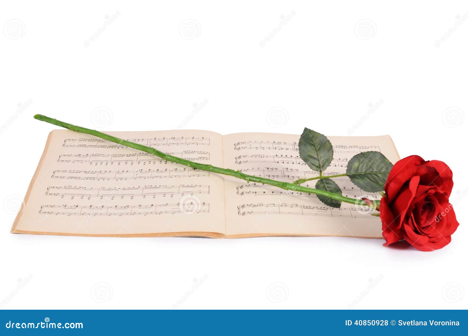 The Rose on Notebooks with Notes Stock Photo - Image of pink, leaf ...