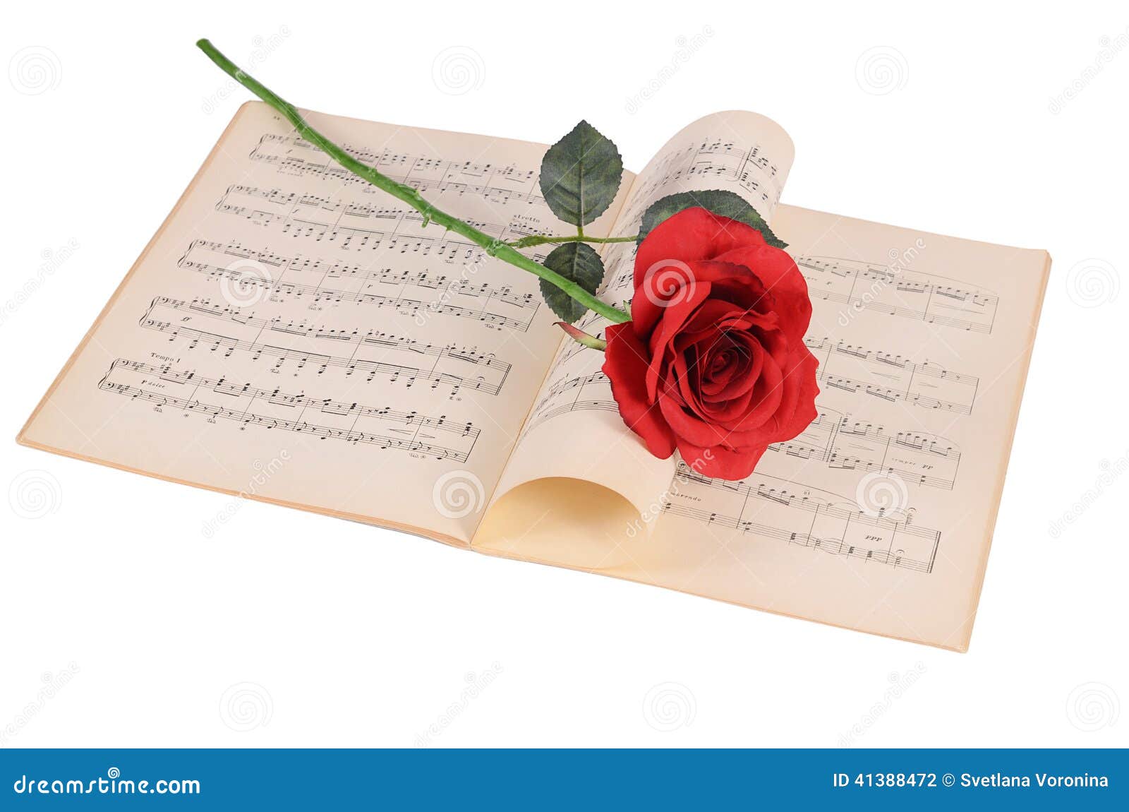 The Rose on Notebooks with Notes Stock Photo - Image of petal, note ...