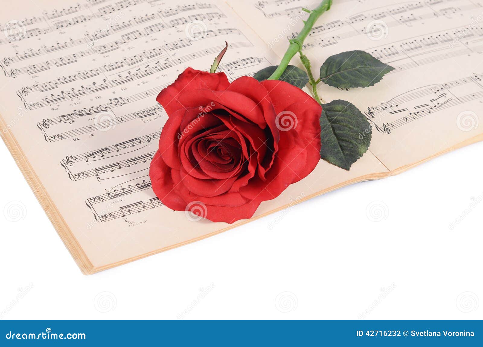The Rose on Notebooks with Notes Stock Photo - Image of paper, flower ...