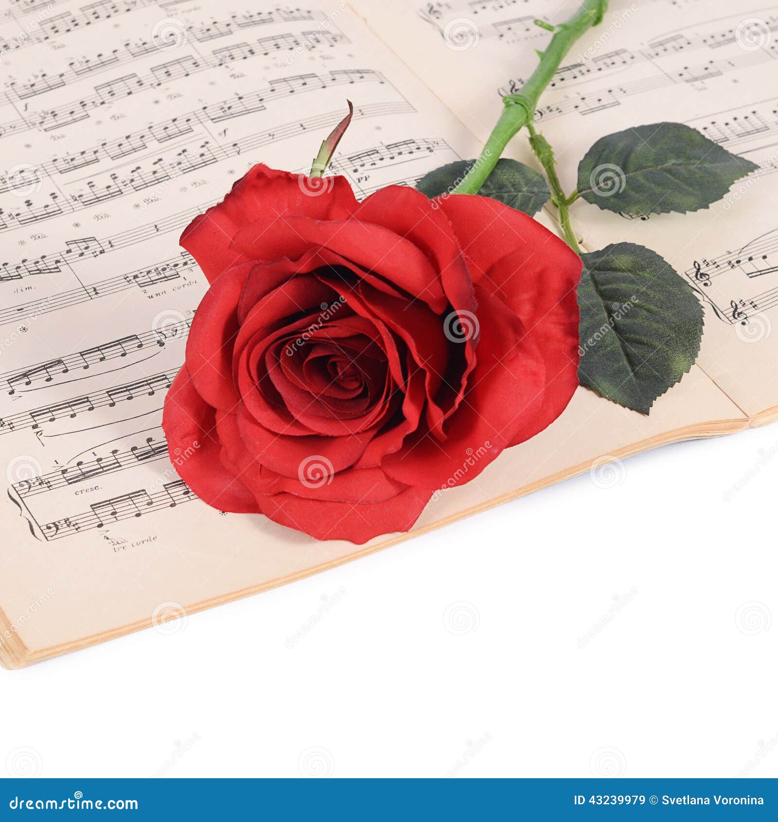 The Rose on Notebooks with Notes Stock Image - Image of romantic ...