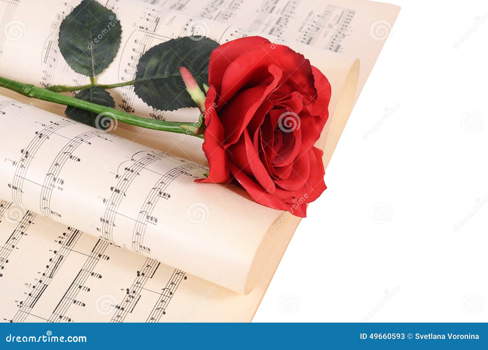 The Rose on Notebooks with Notes Stock Image - Image of love, play ...