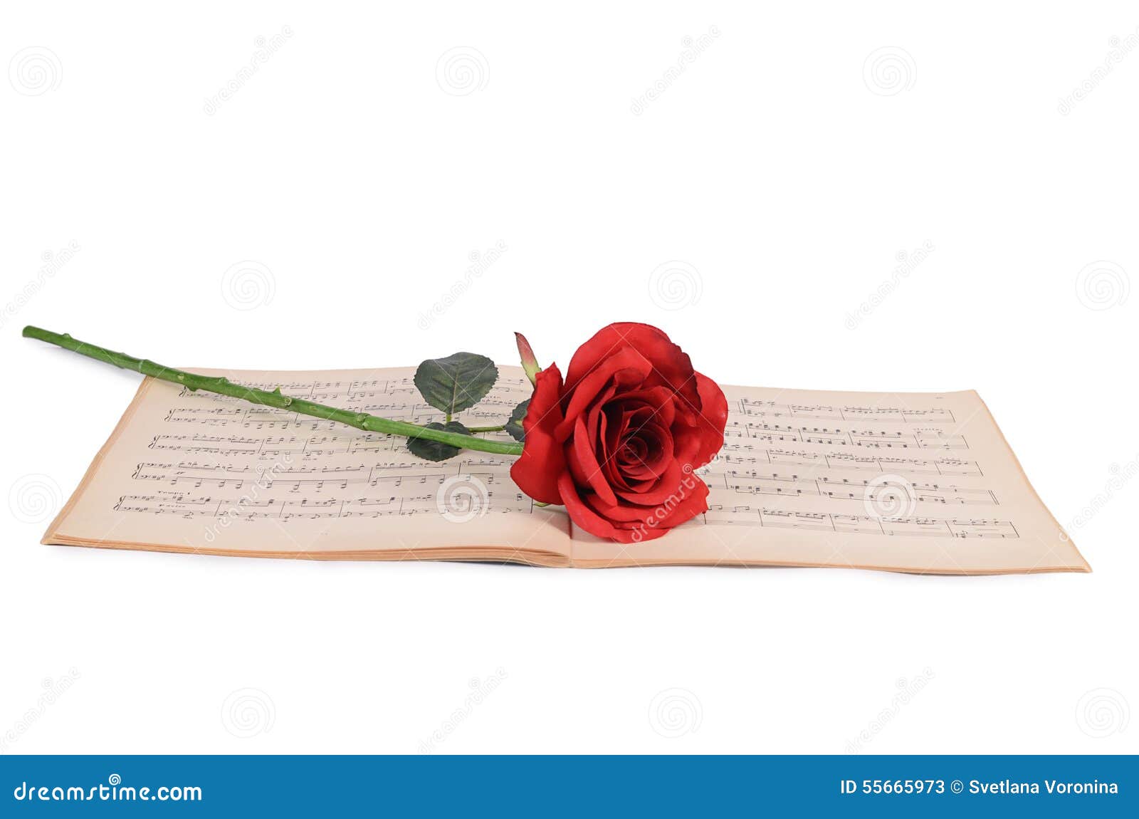 The Rose on Notebooks with Notes Stock Image - Image of rose ...