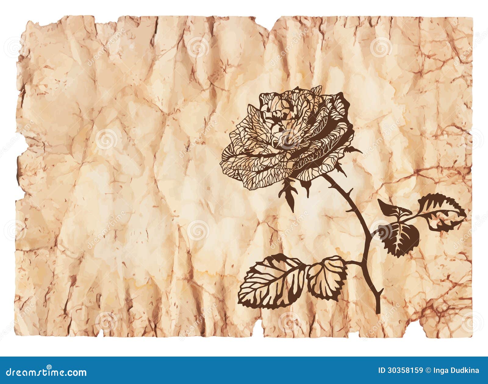 Rose on old paper stock vector. Illustration of leaf - 30358159