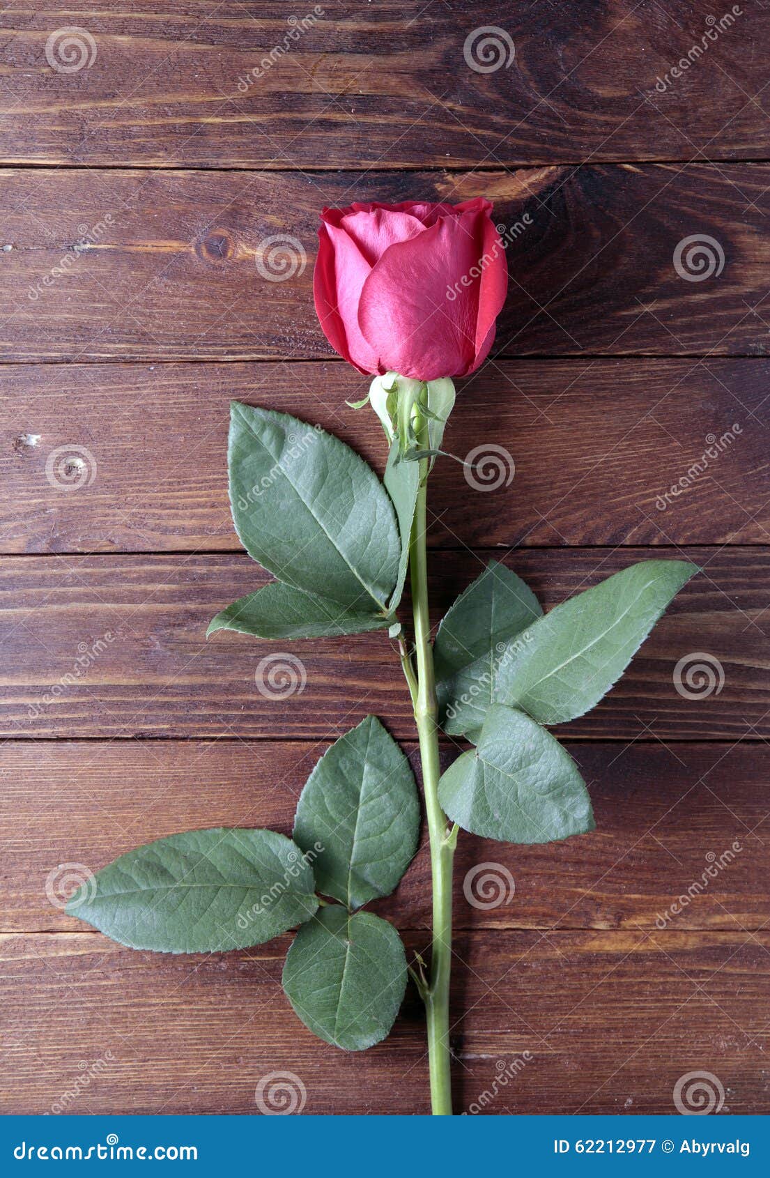 Rose on Old Rustic Wood Table Stock Image - Image of petal, rose: 62212977