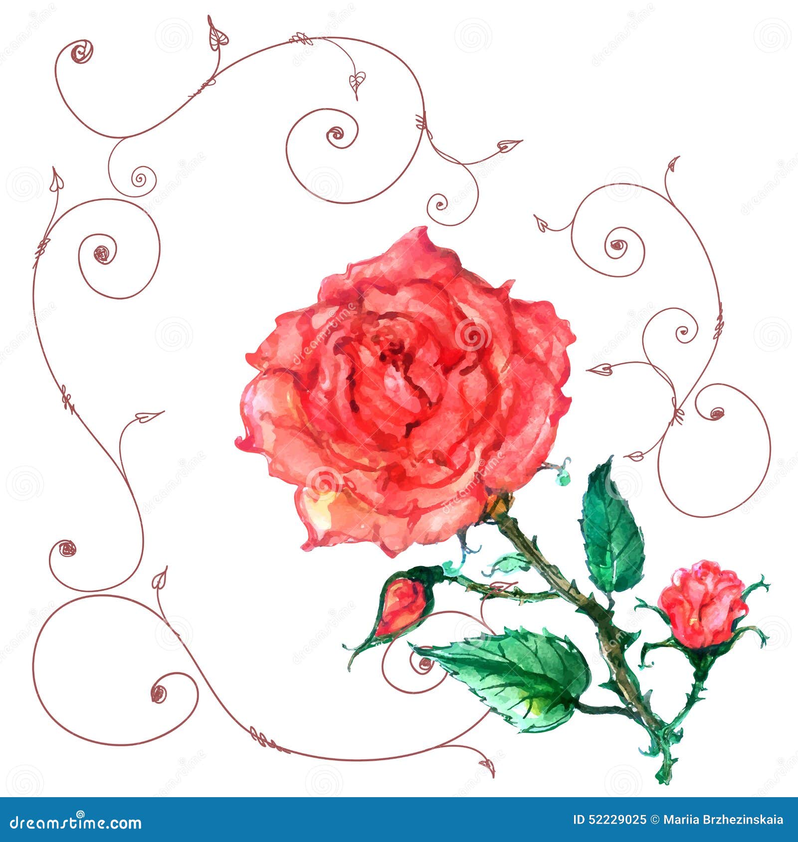 Rose in old style stock vector. Illustration of celebration - 52229025