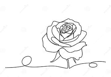 Rose. One Line Drawing Vector Illustration Stock Vector - Illustration ...