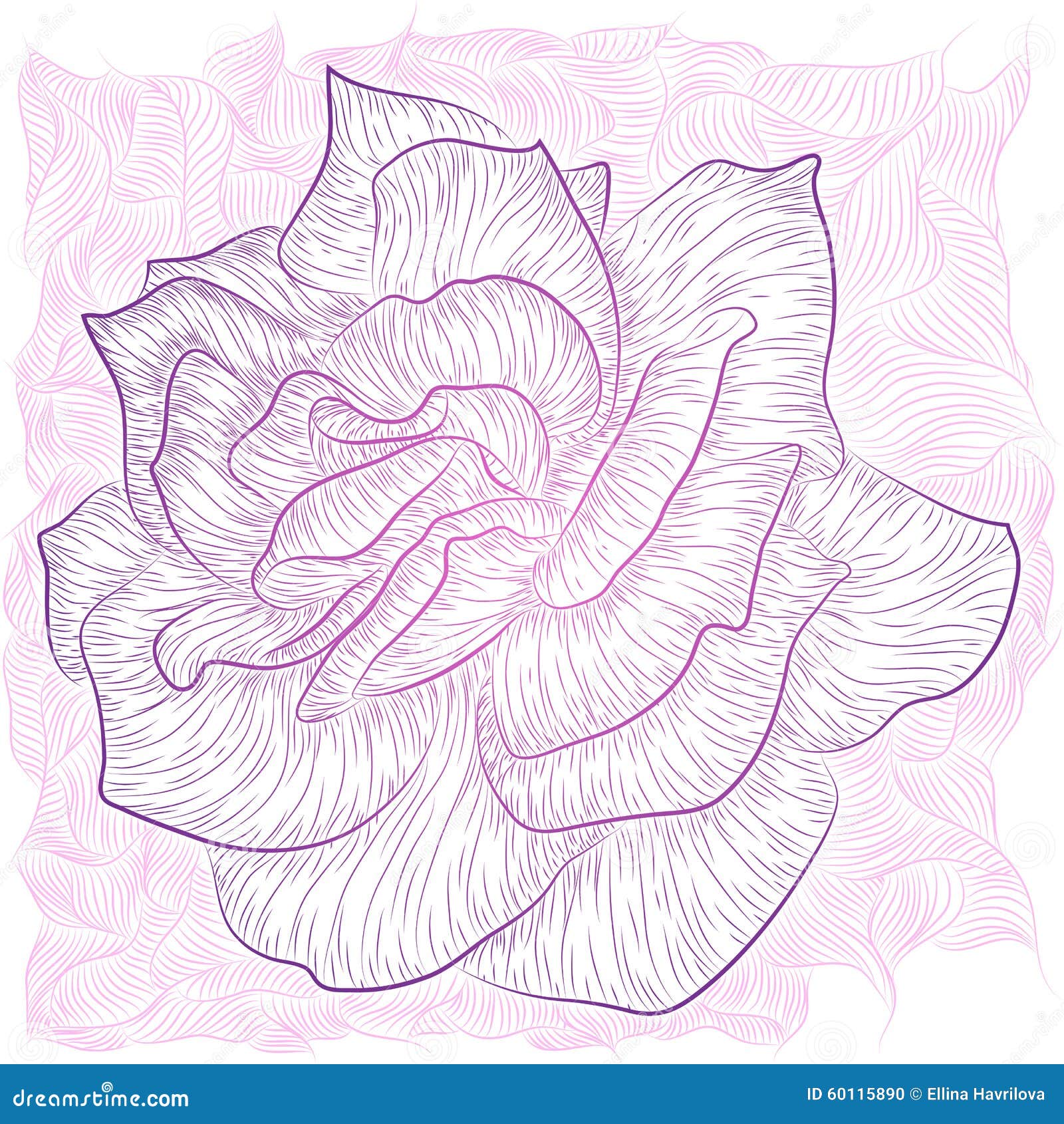 Rose outline stock vector. Illustration of isolated, graphic - 60115890