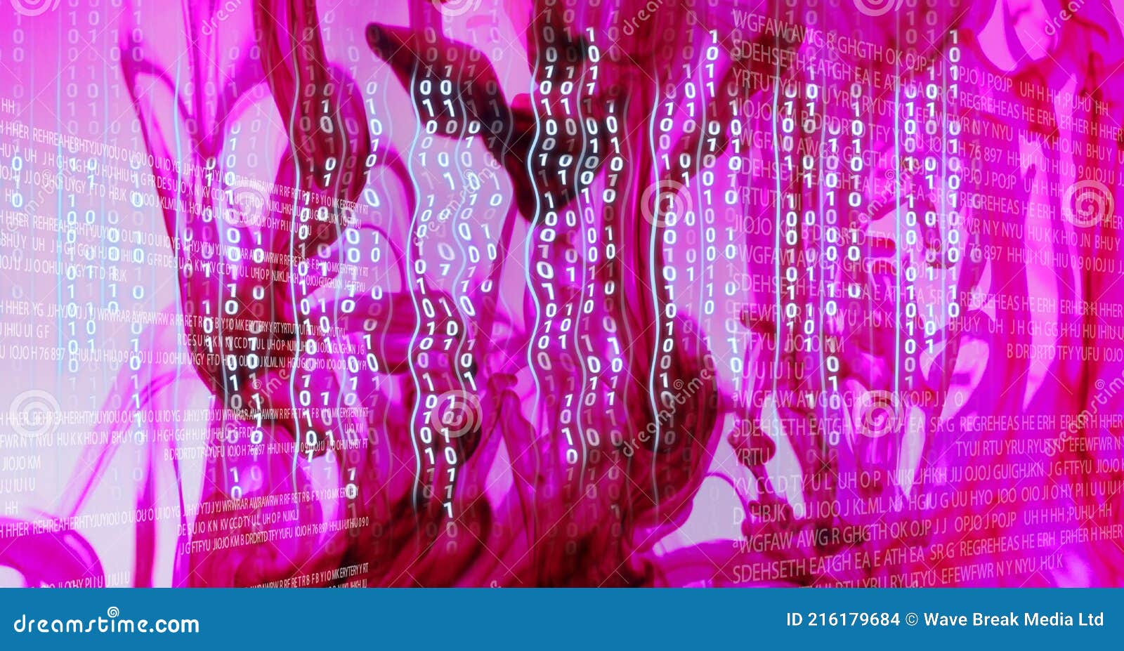 Rose Over Computer Code, Program Coding and Technology Concept Stock ...