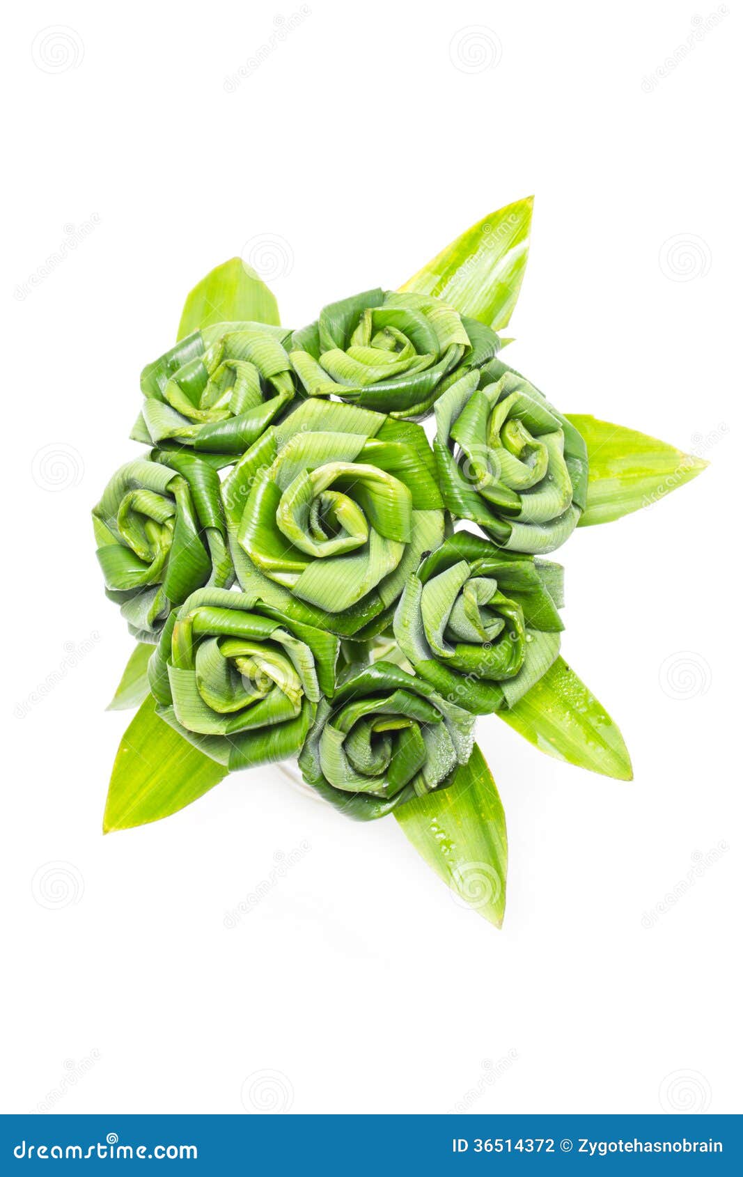 Rose of Pandan Leaf. stock photo. Image of element, foliage - 36514372