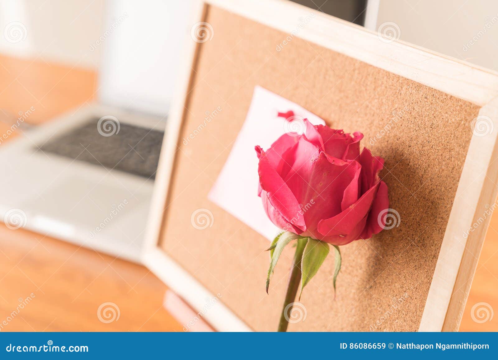 Rose with paper note stock image. Image of romantic, paper - 86086659