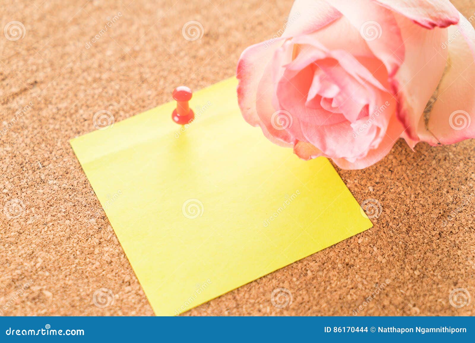 Rose with paper note stock photo. Image of holiday, romantic - 86170444