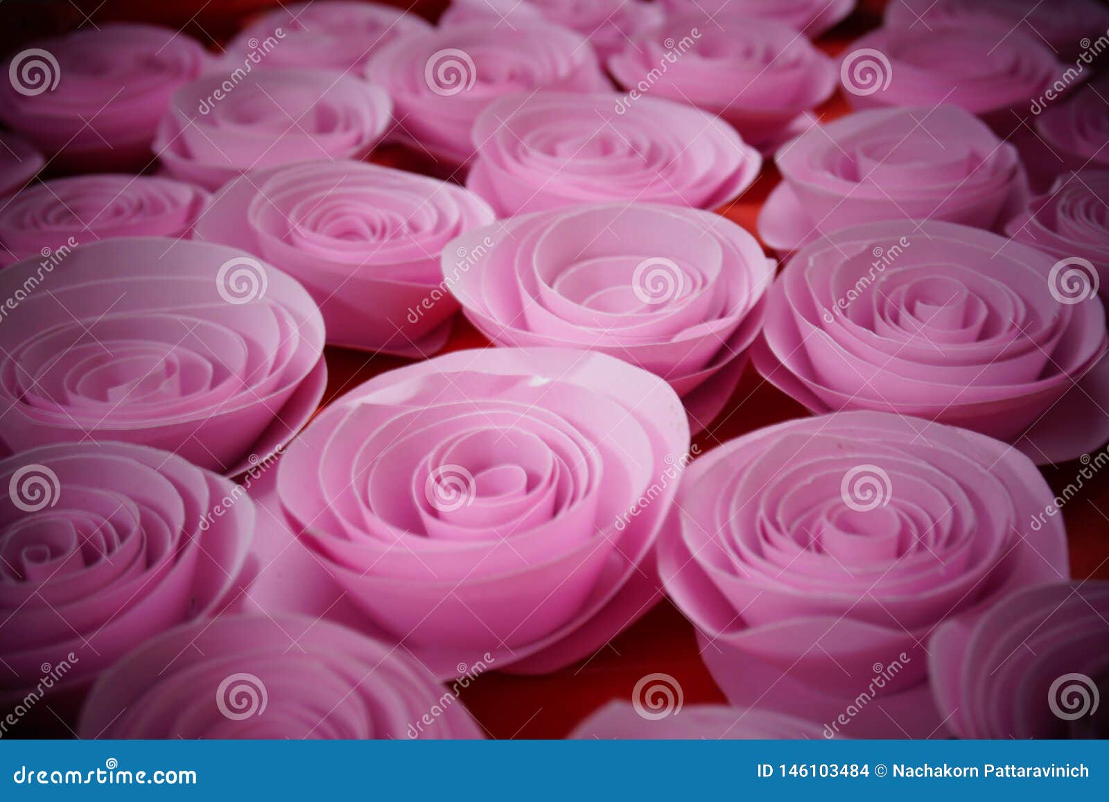 Rose paper pink. stock photo. Image of gift, artistic - 146103484