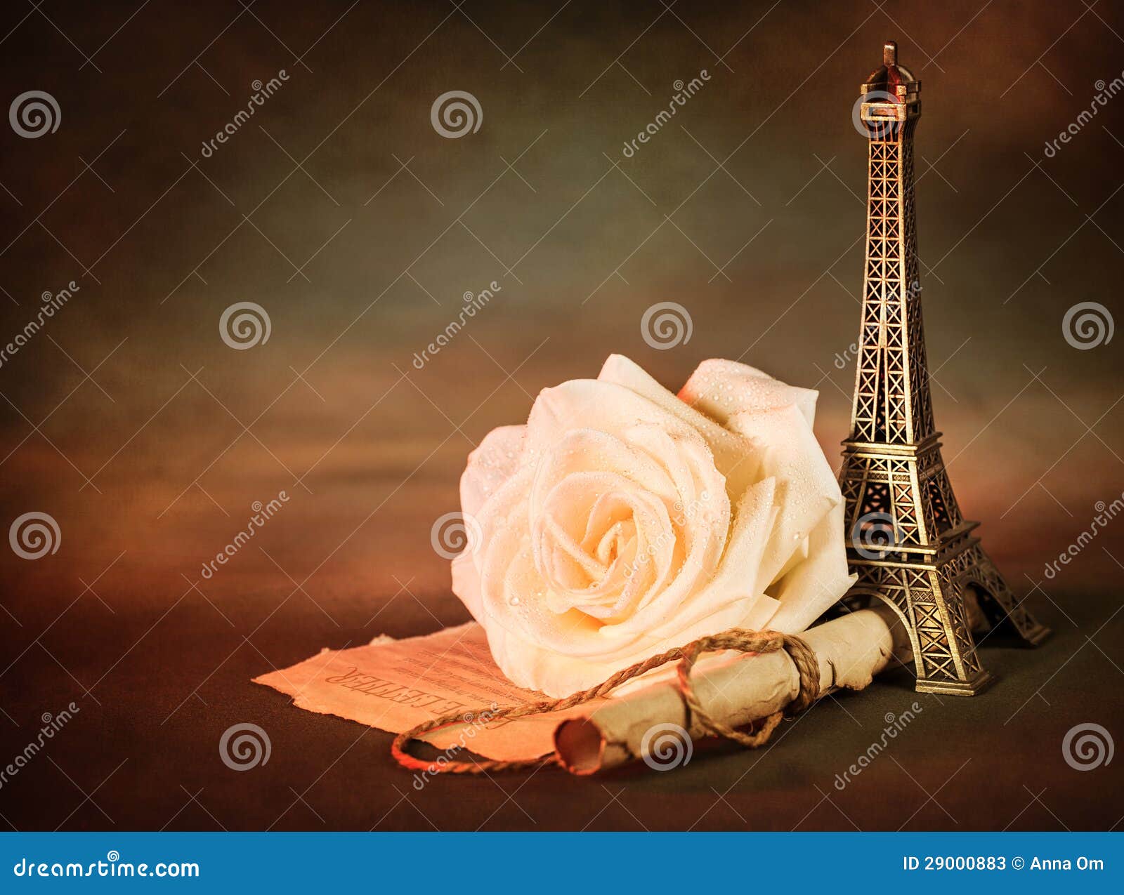 Rose and paper scroll stock image. Image of grunge, life - 29000883
