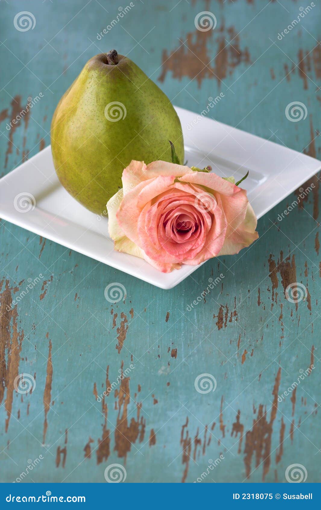 Rose and Pear stock image. Image of pink, florist, still - 2318075
