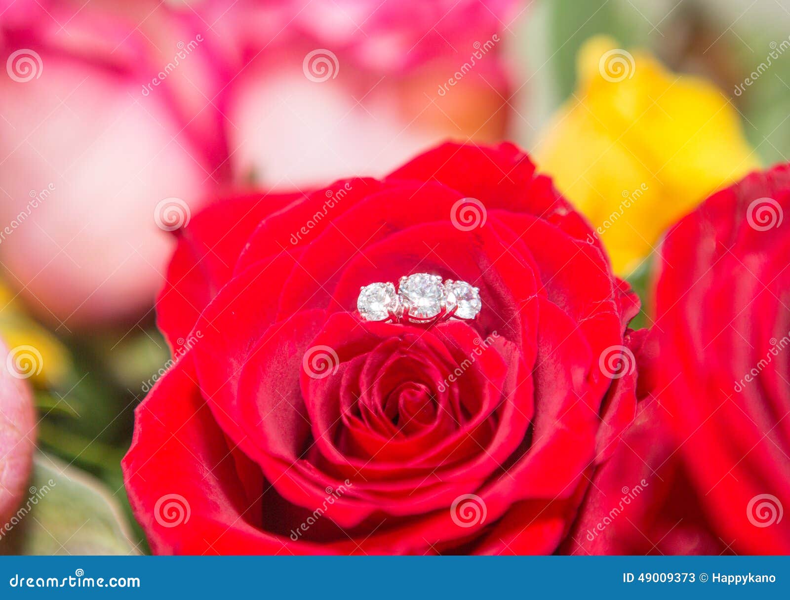 Rose, Pearl and Diamond Ring Stock Image - Image of nature, flower ...