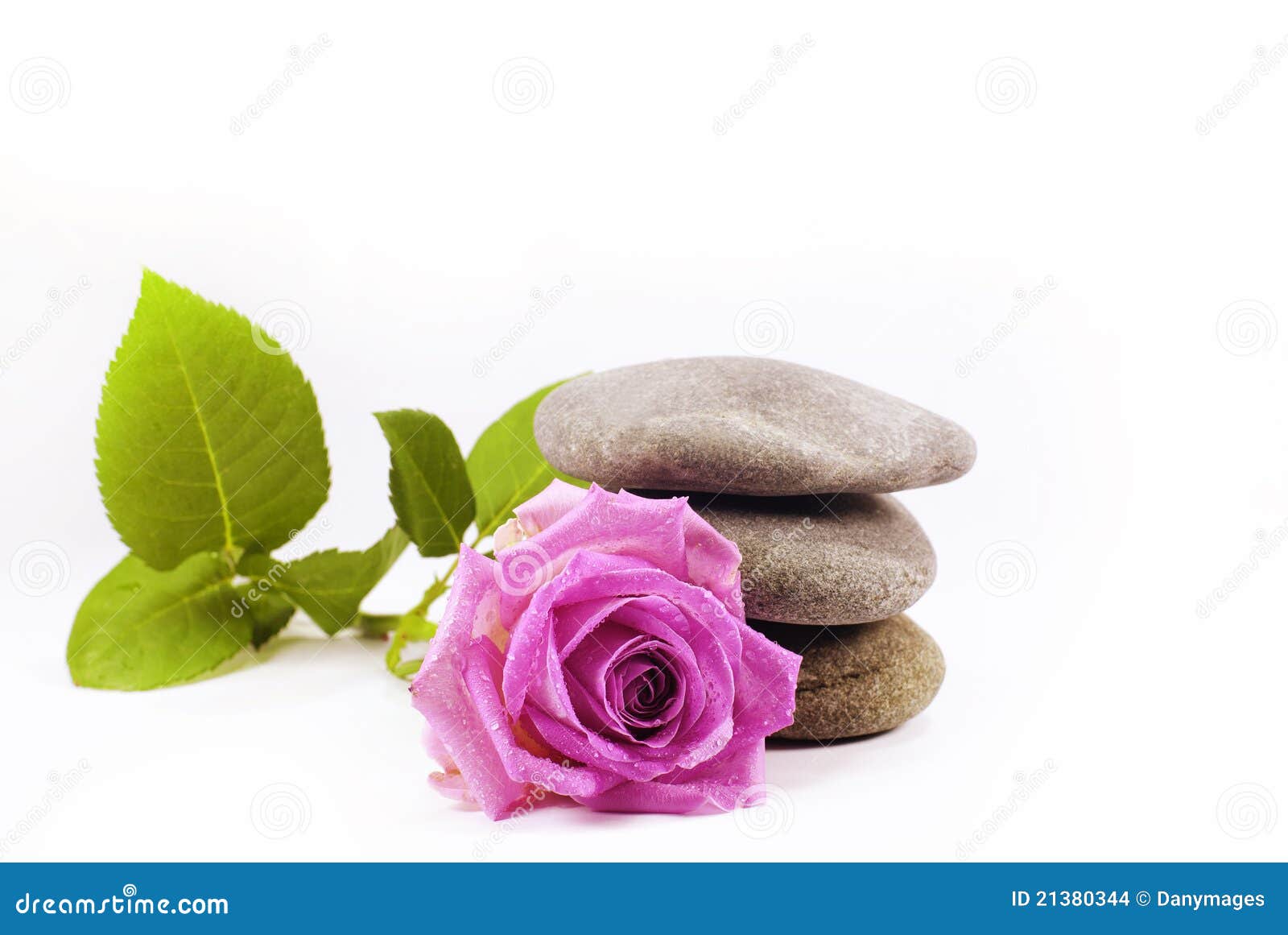 Rose and pebble stock photo. Image of stack, stone, love - 21380344