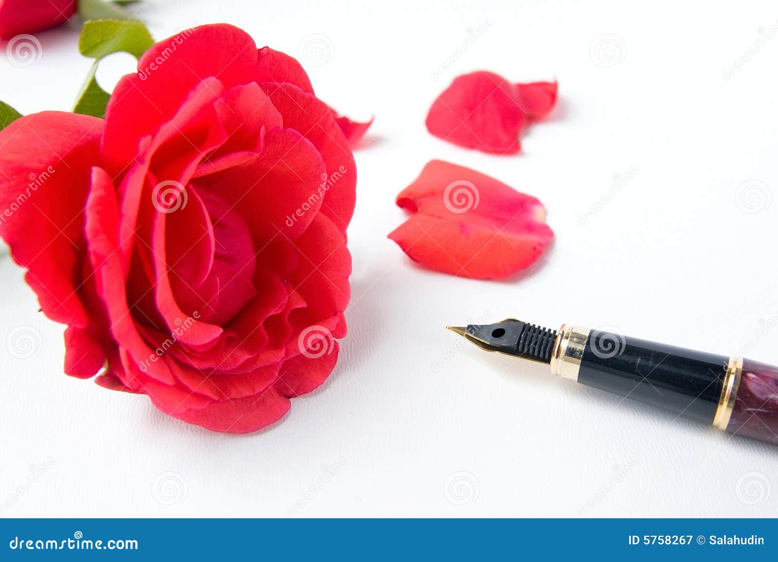 Rose and pen stock image. Image of communication, petal - 5758267