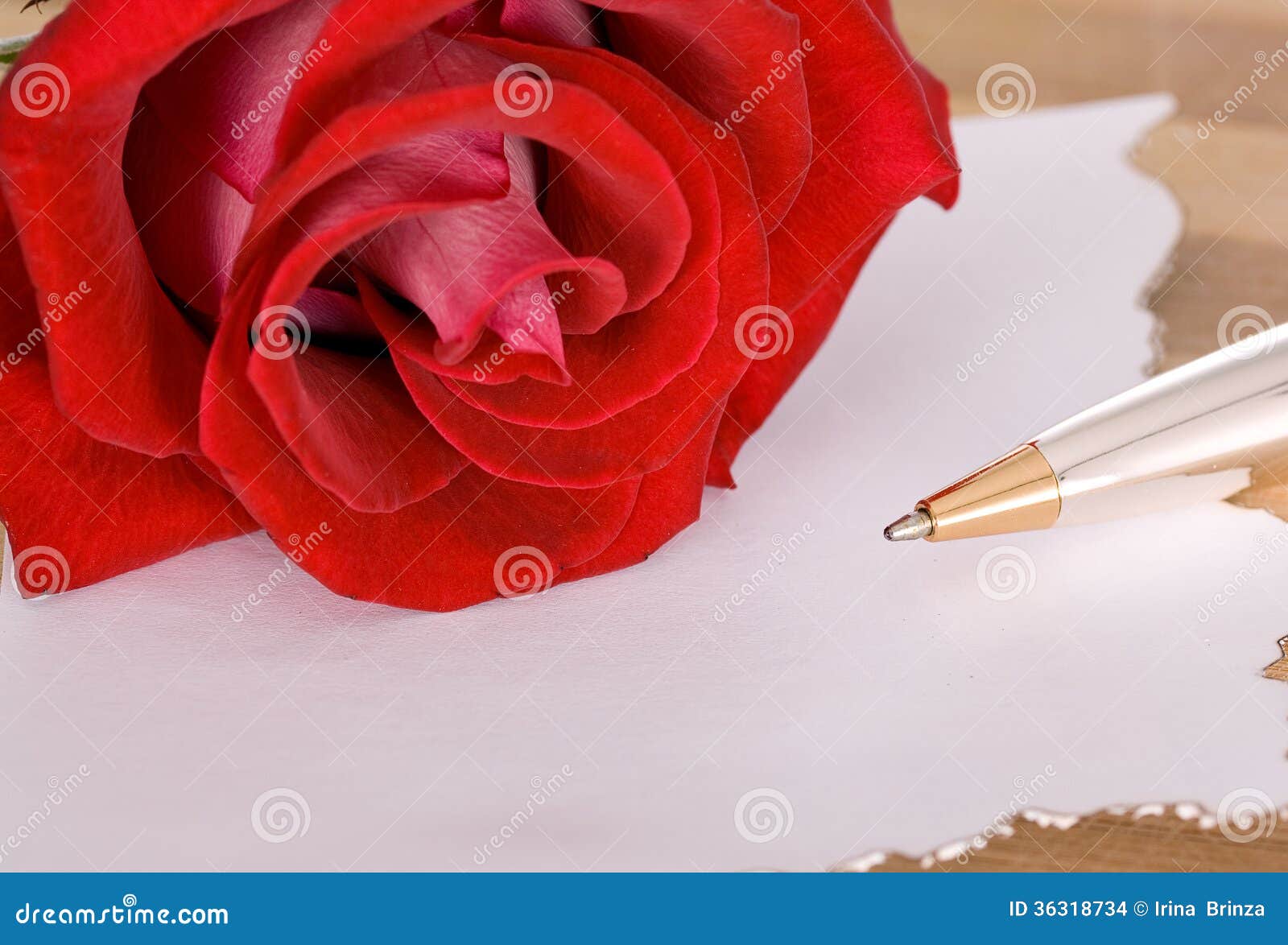 Rose and pen stock photo. Image of pink, love, flower - 36318734