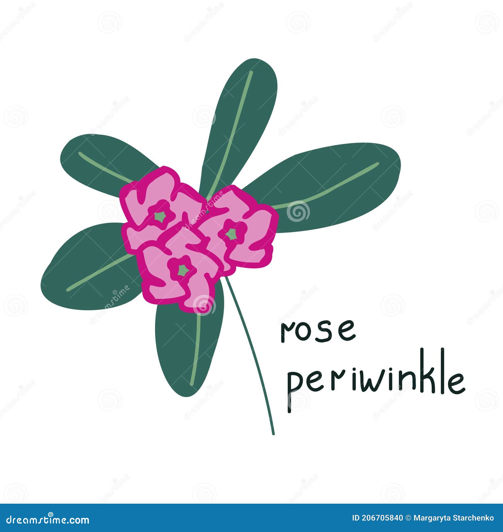 Simple Periwinkle Flower Drawing, Pencil Sketch Sada Bahar Flower ...