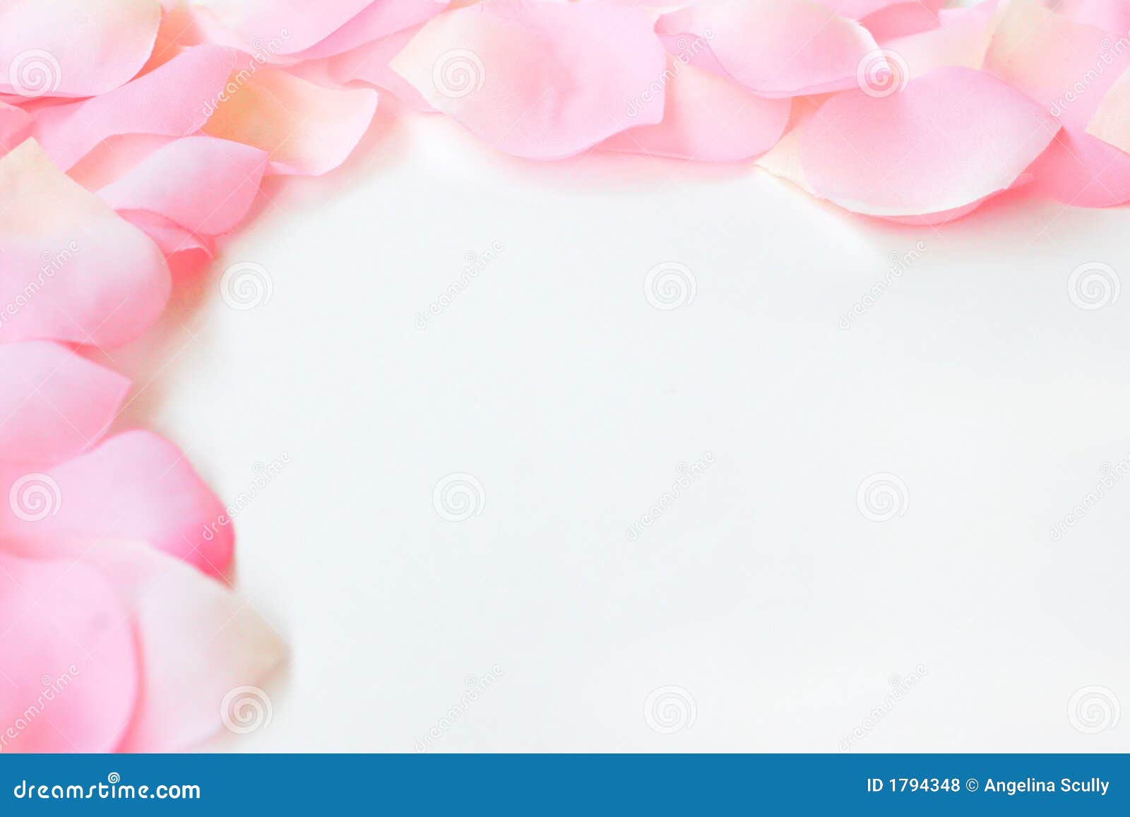 Pink Rose Petal Border