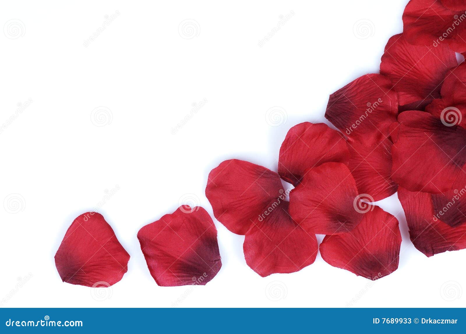Rose petal border stock image. Image of floral, abstract - 7689933