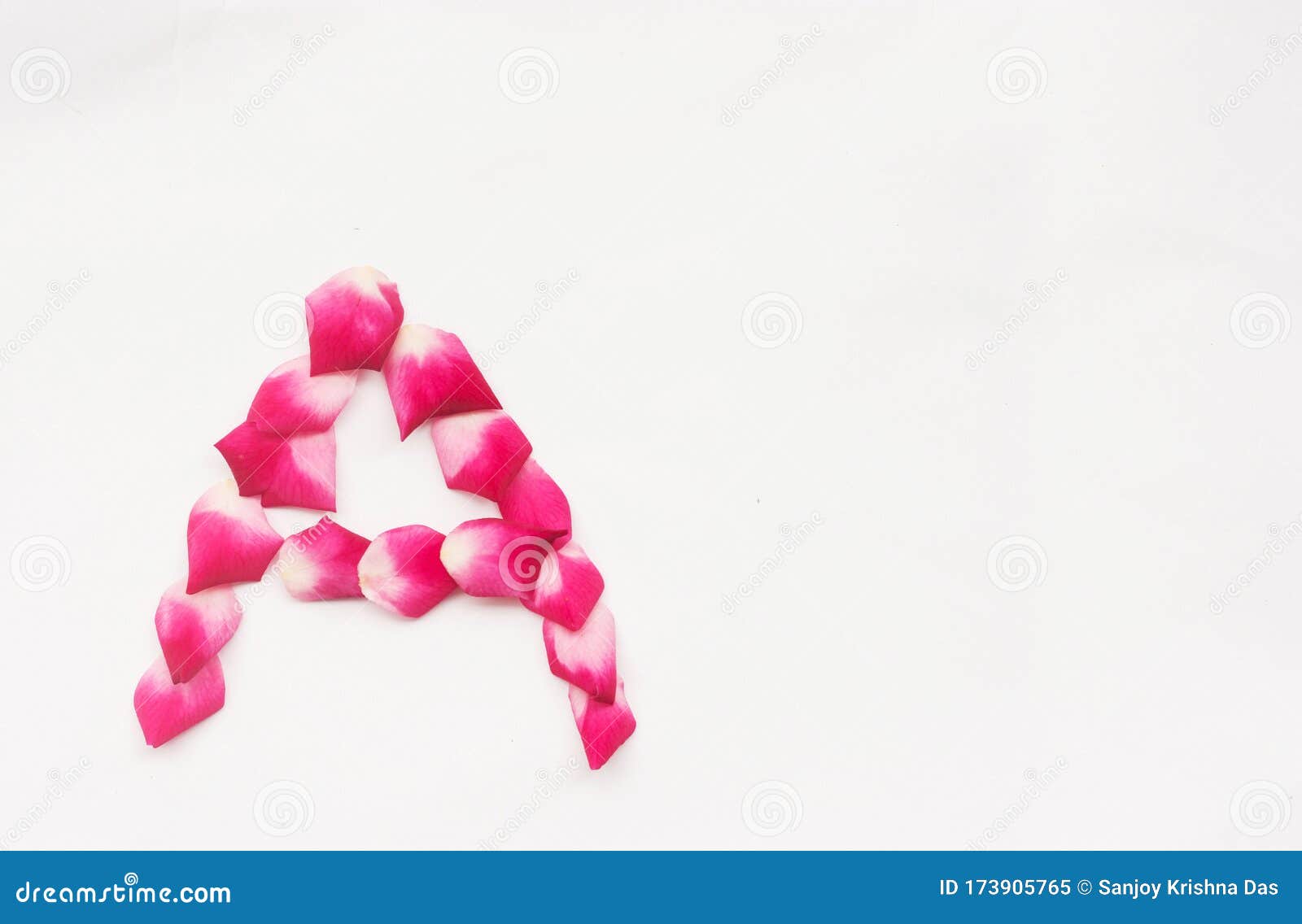 Rose Petal Letter a Background Image, Rose Petal Letters Alphabet ...