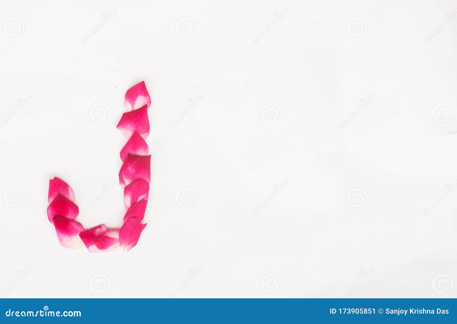 Rose Petal Letter J Background Image, Rose Petal Letters, Alphabet ...