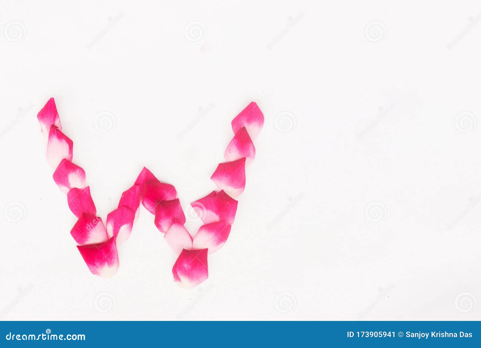 Rose Petal Letter W Background Image, Rose Petal Letters, Alphabet ...
