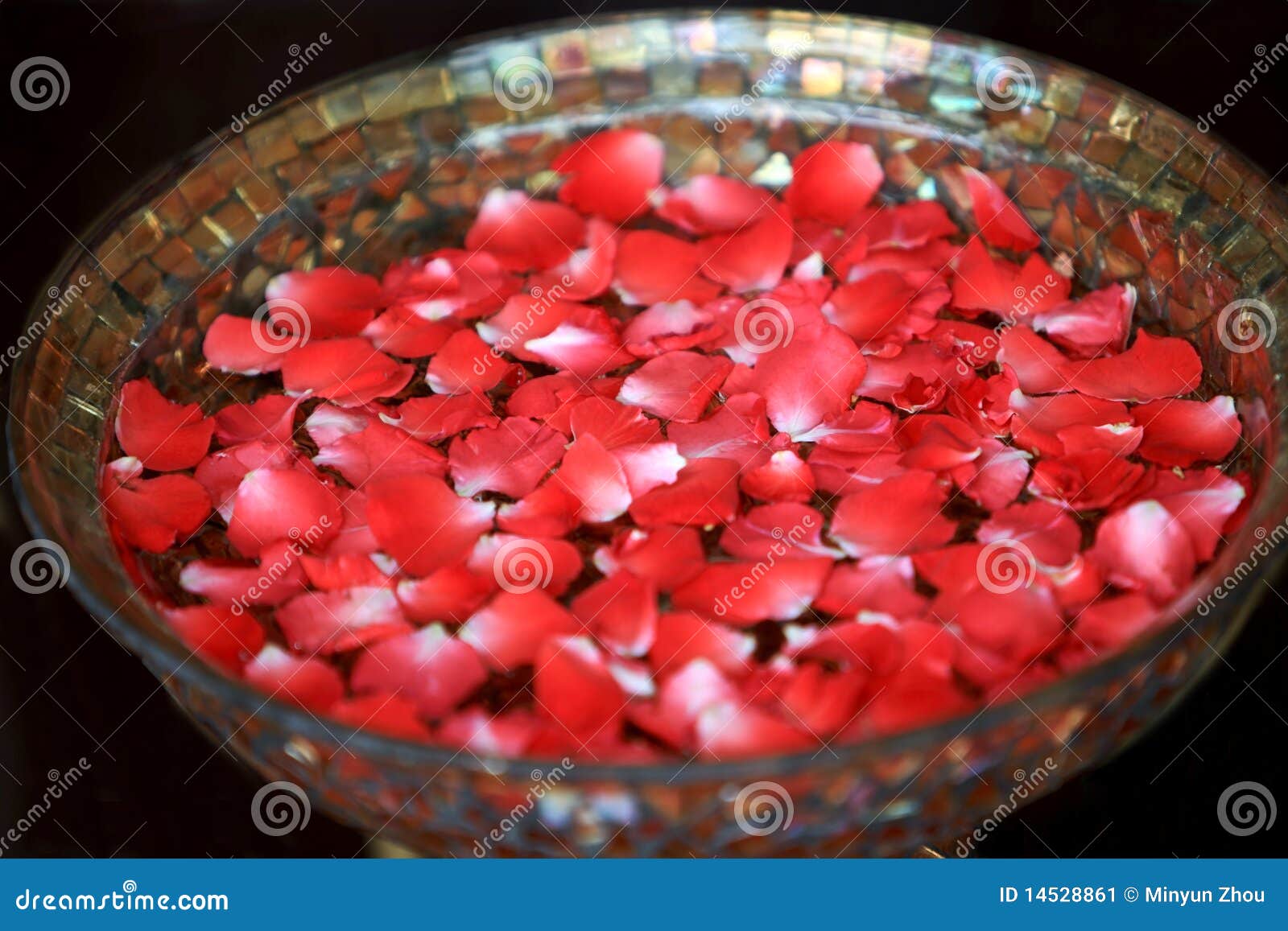 Rose Petal Spa stock image. Image of bath, isolated, beauty - 14528861