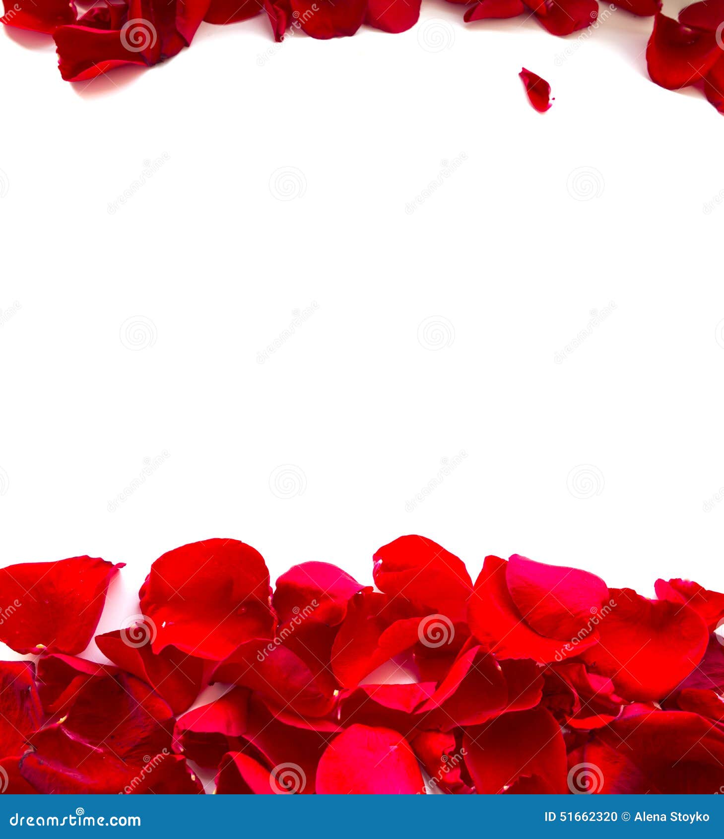 Rose Petals Border stock photo. Image of beauty, element - 51662320