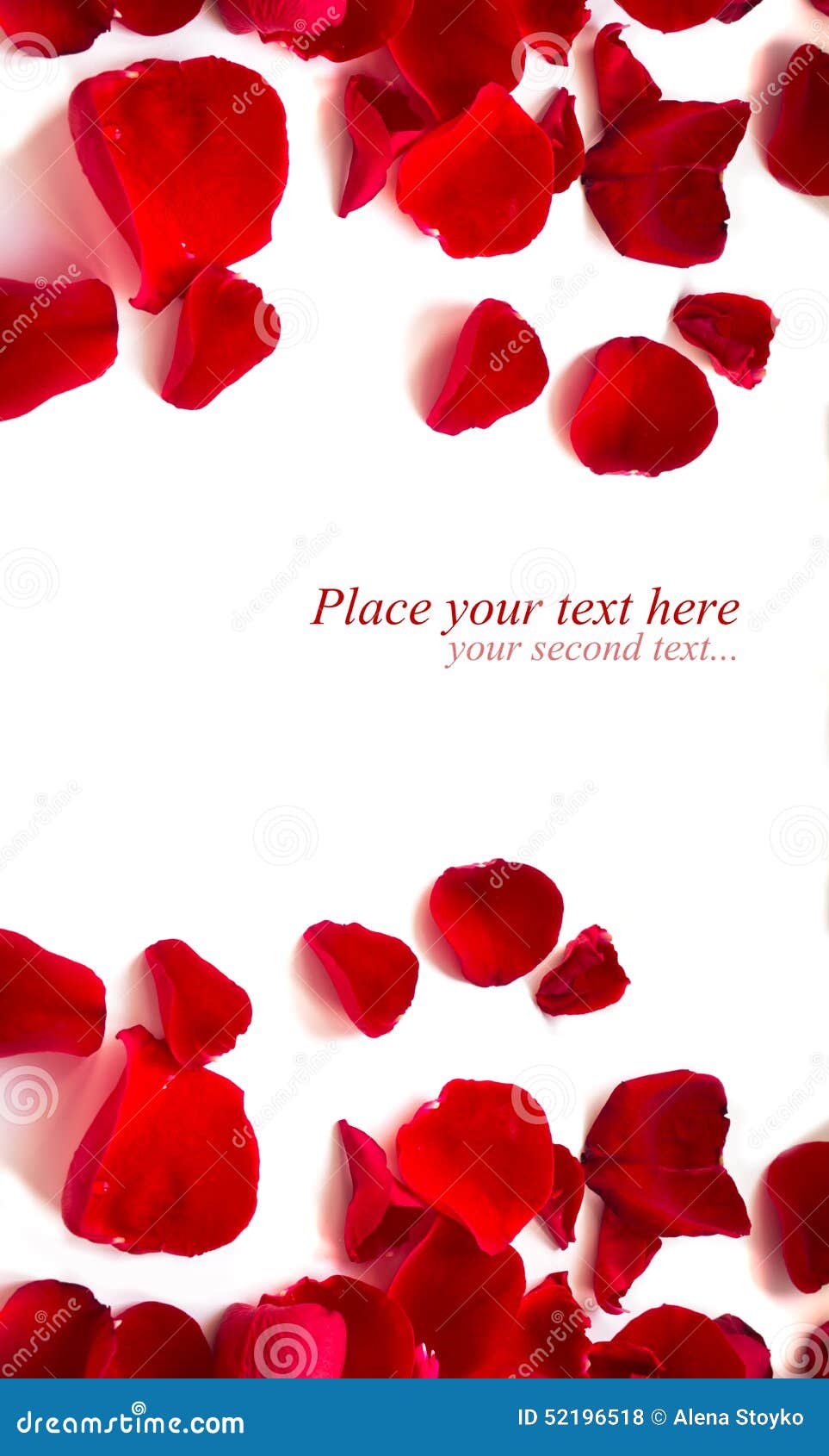 Rose Petals Border stock photo. Image of gift, design - 52196518