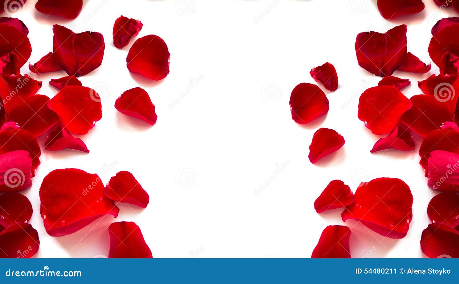 Rose Petals Border stock image. Image of love, card, flower - 54480211